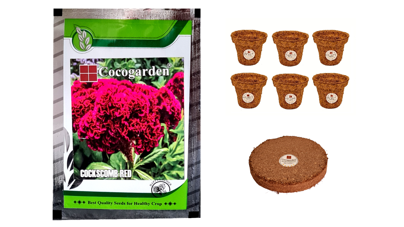 Cocogarden flowering seeds Cockscomb red with seed starter kit ...
