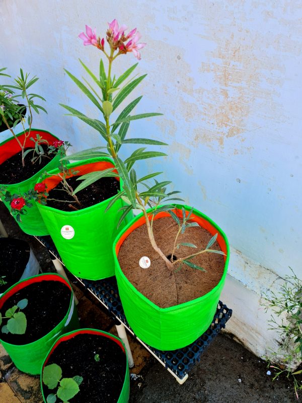 Coco Fiber Mulch Mat Coconut Coir Fibre Moisture & Weed Control Mulch ...