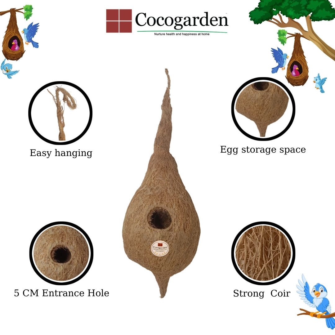 Safest Organic Bird Nest for All Small Birds Purely Handmade Nest ...