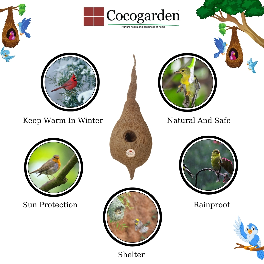 Safest Organic Bird Nest for All Small Birds Purely Handmade Nest ...